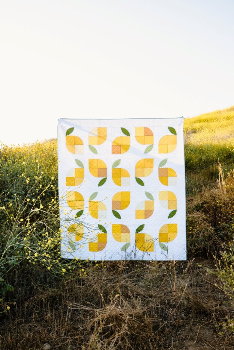 20+ Summer Quilt Patterns & Blocks for a Sun-Soaked Season